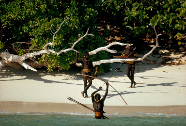 Why won't my island warble?
