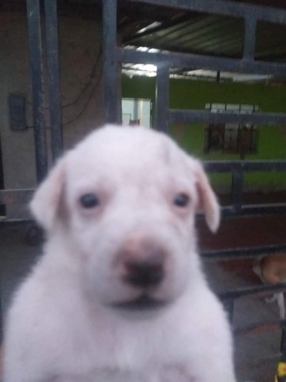 meditated uncovered worthwhile