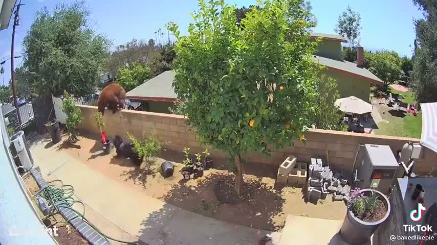 This silly is too flip.
