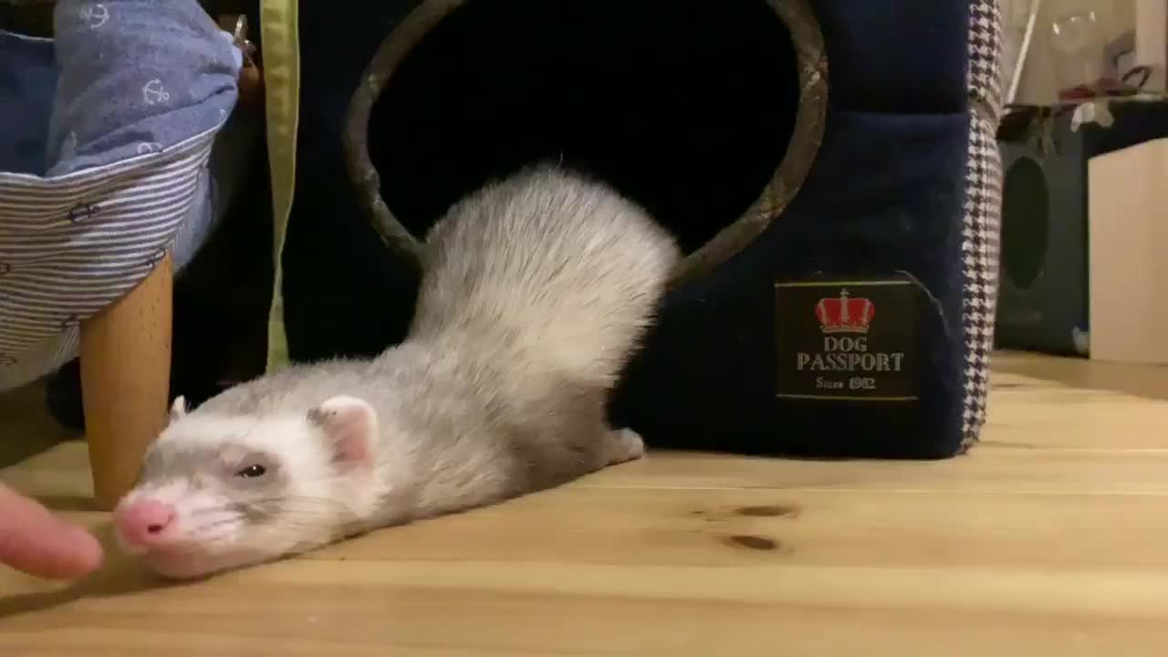 long day