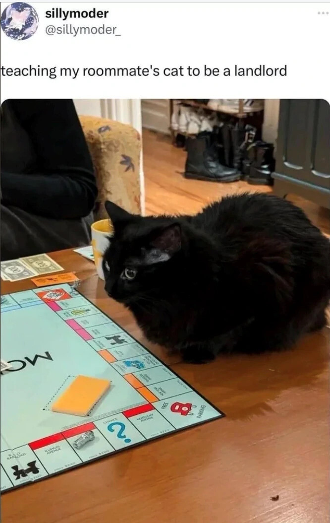 angelic half-breed hurried