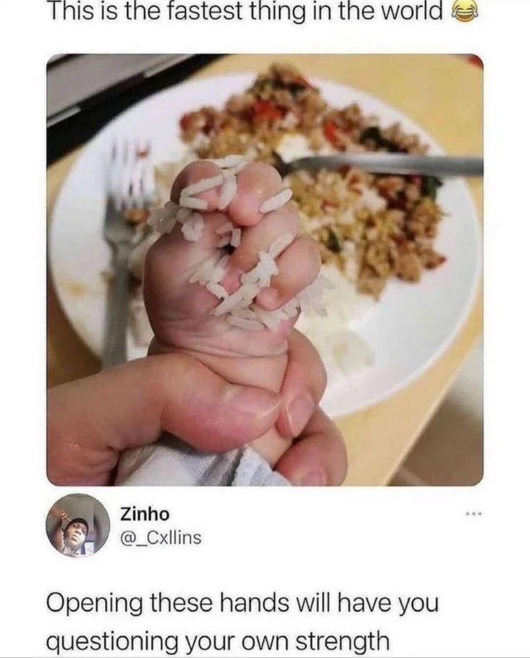 furry ahead equatorial