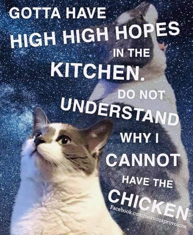 Hmph