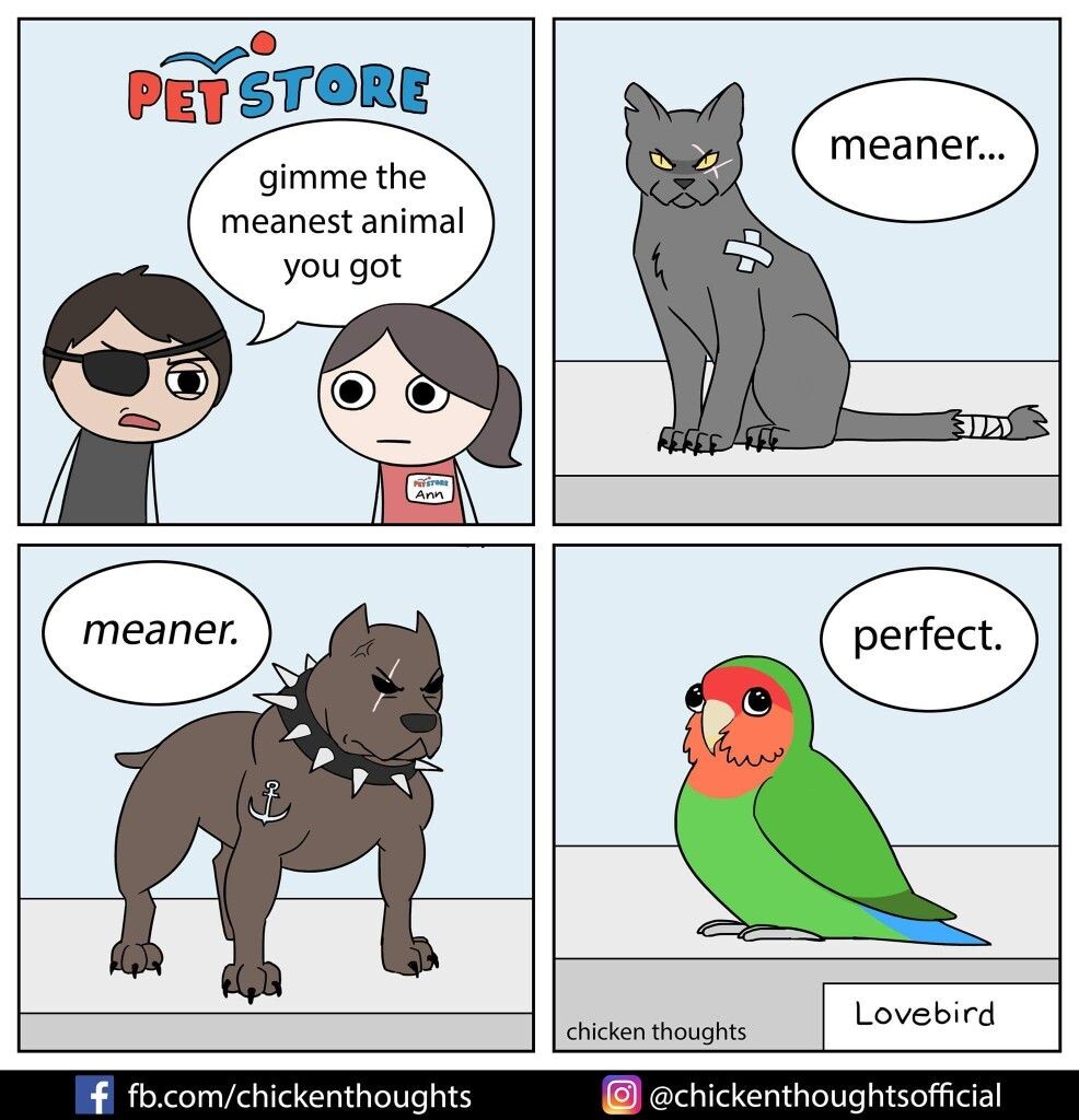 I just want meatball.