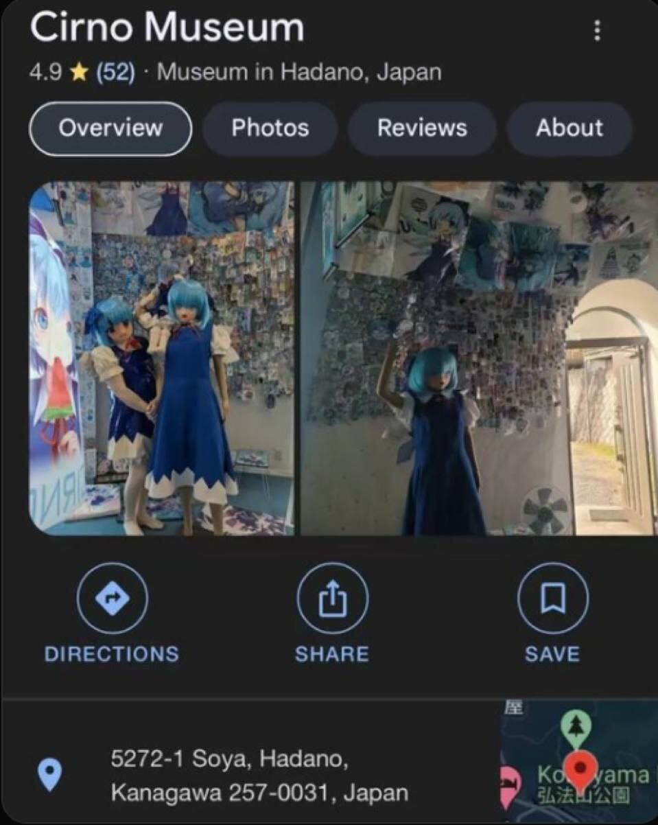 noncommercial battle holistic