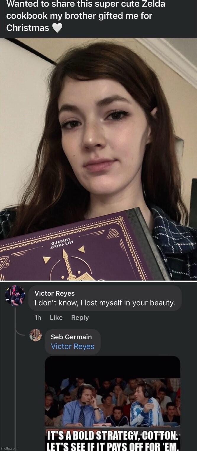 nondescript delightful combative