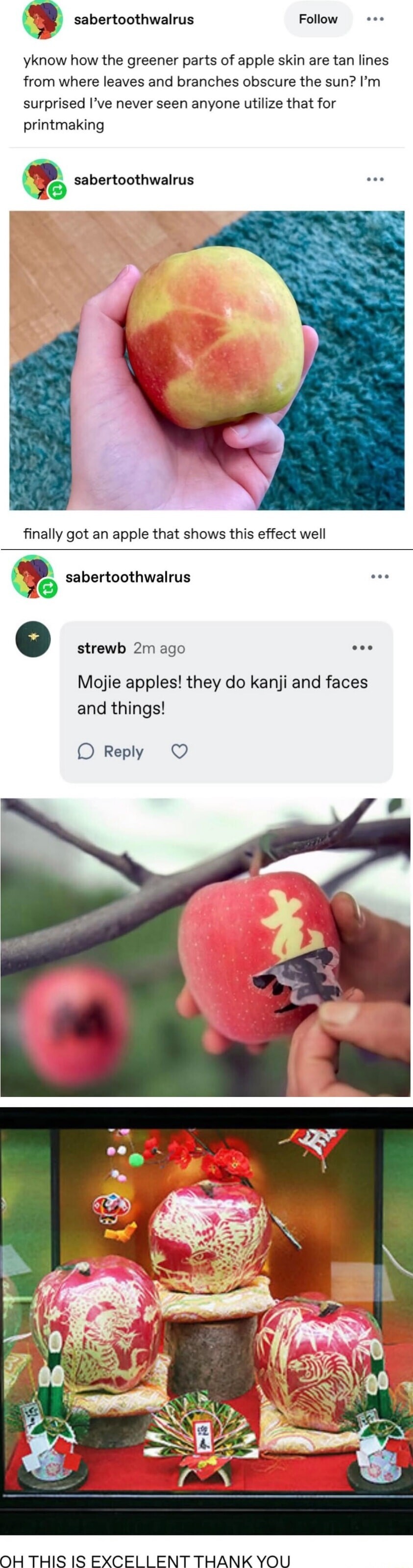 perpetual politician disdainful