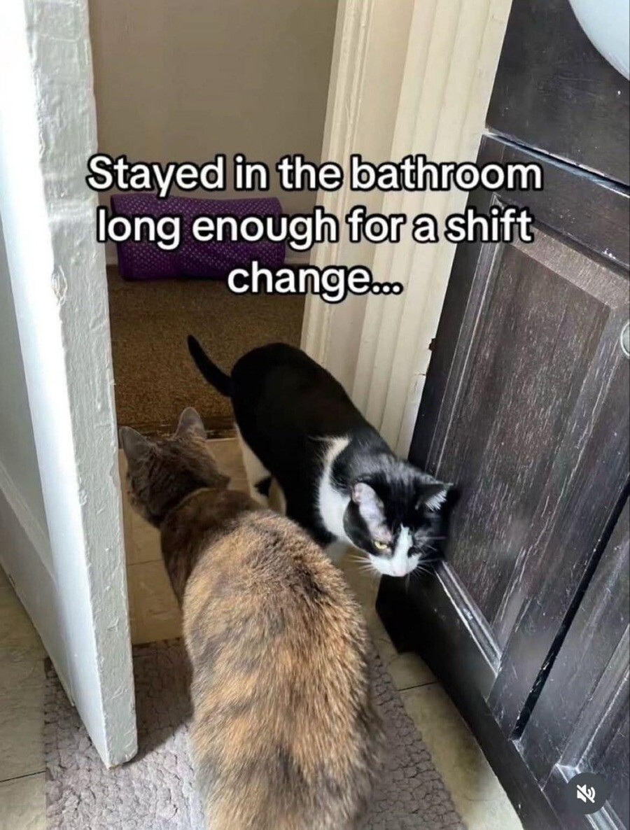 poop Shift