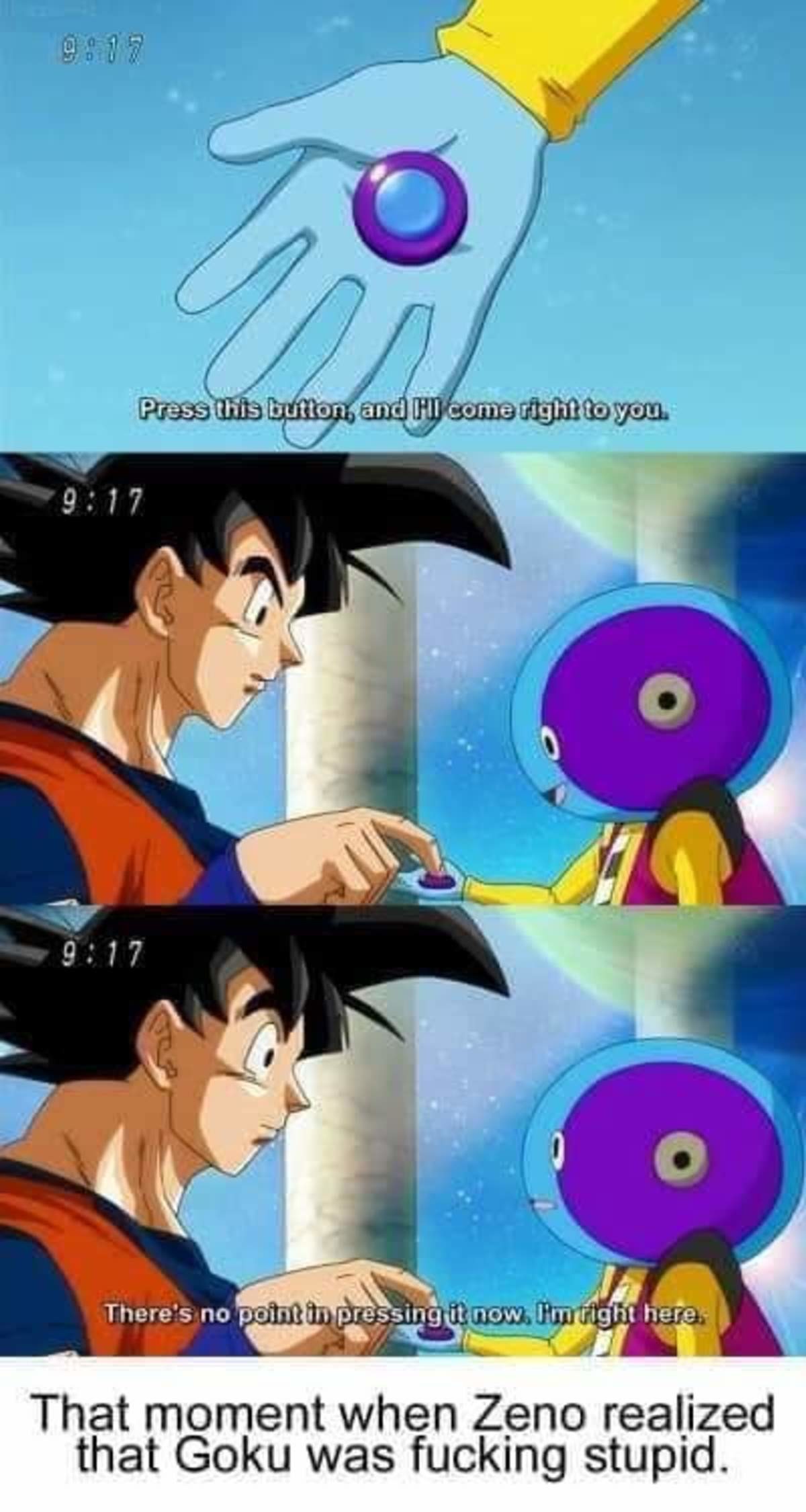 skyrocketed Sand Dollar