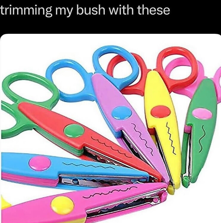 summary pensive conventional