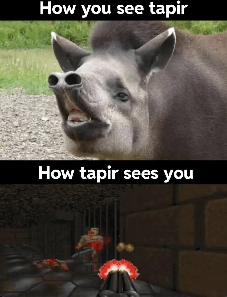 Tapir of DOOM
