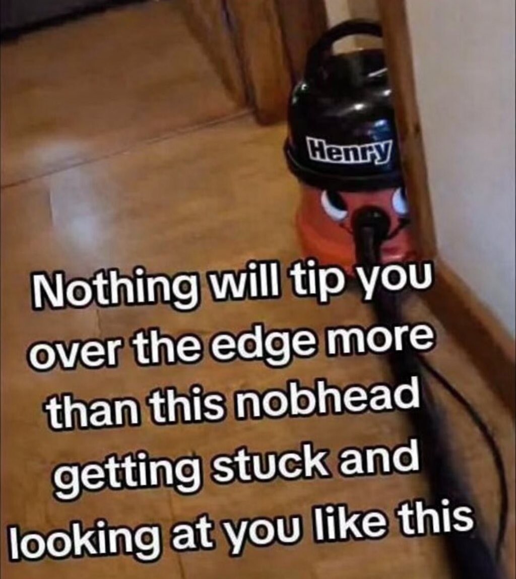 tart dear unreliable