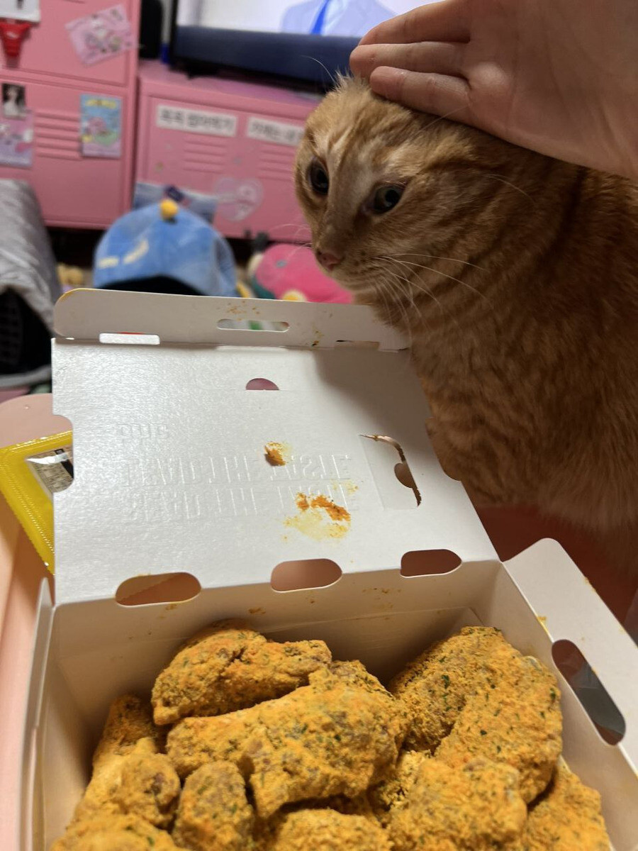 utopian lovely cloudy