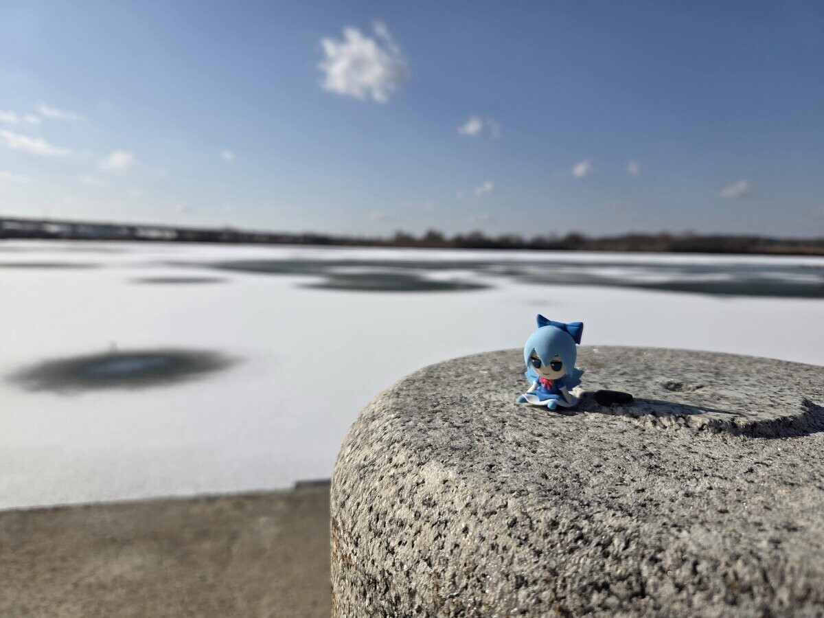 wrathful dotted terrific